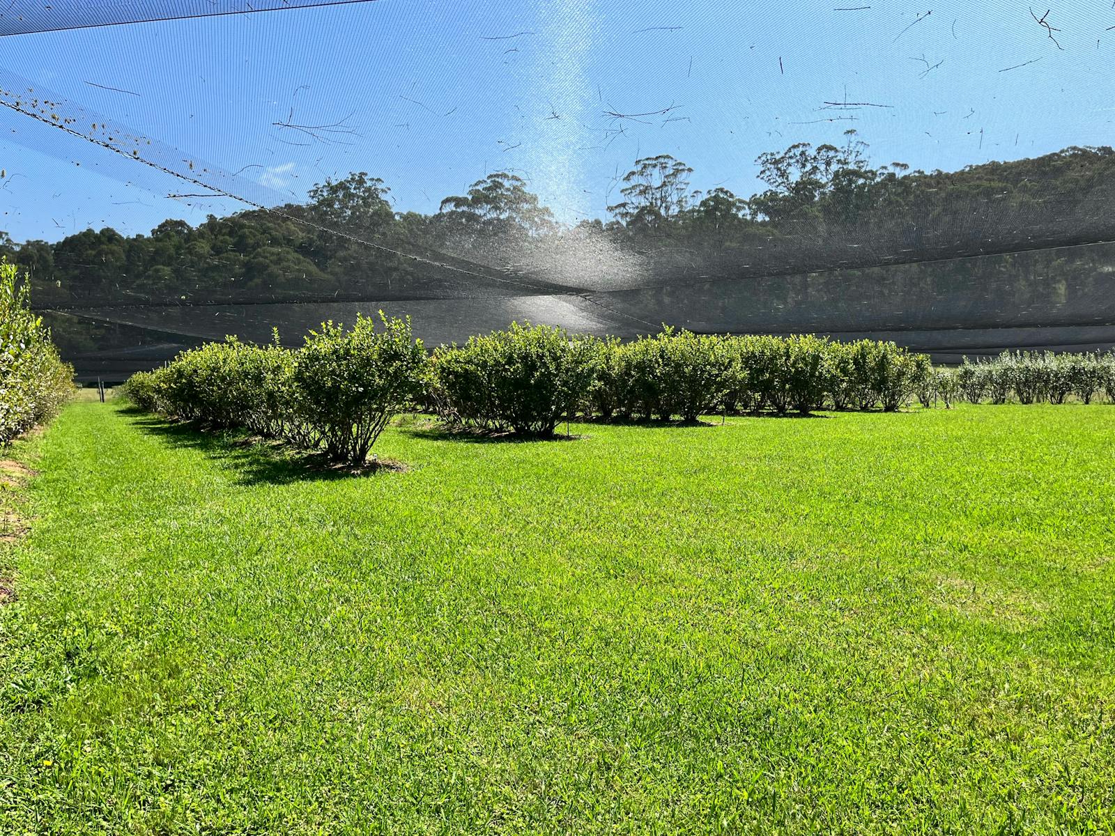 Higgins Creek Farm - Shoalhaven - South Coast NSW